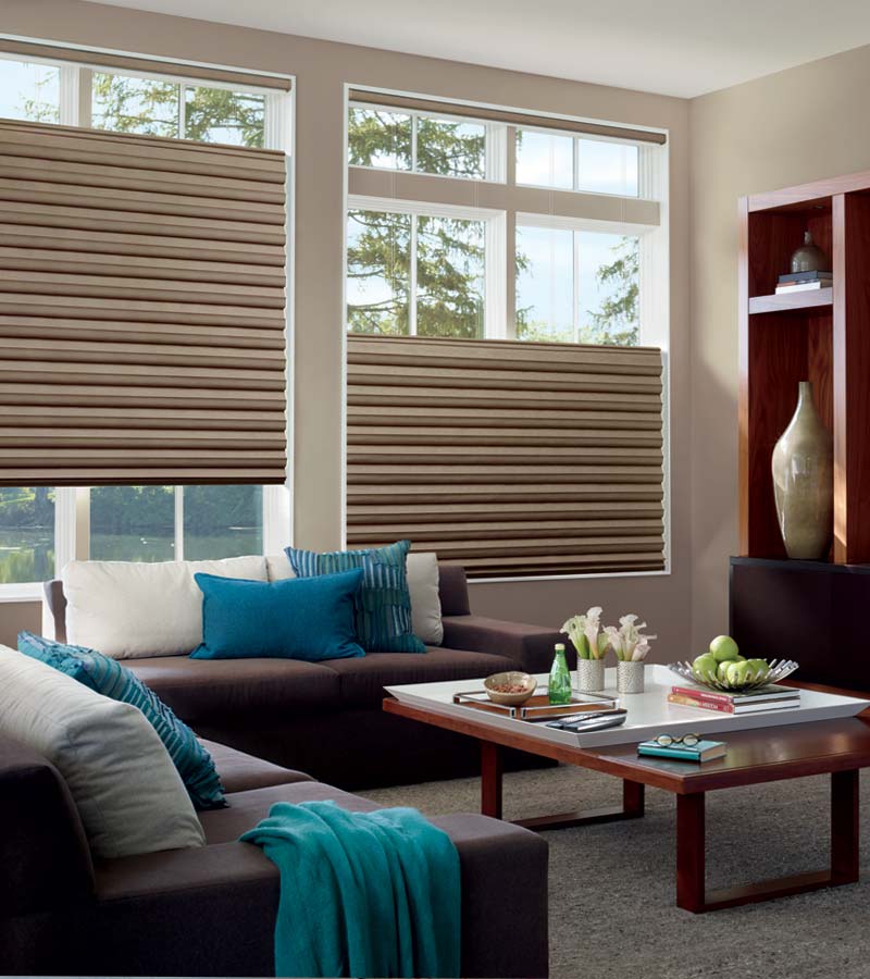 Top Down Bottom Up Shades for Natural Light + Privacy Solutions